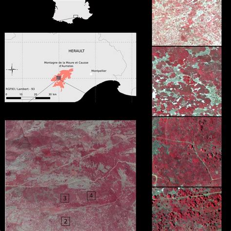 General Workflow Of Steps To Compare Fourier Based Textural Ordination