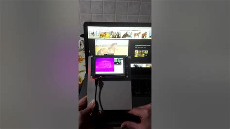 stm32f746 disco with camera and convolutional neural network youtube