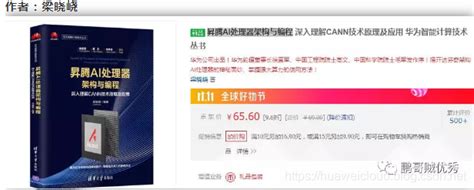 【读一本书】《昇腾ai处理器架构与编程》 神经网络基本知识学习 1 升腾ai处理器架构与编程 pdf csdn博客