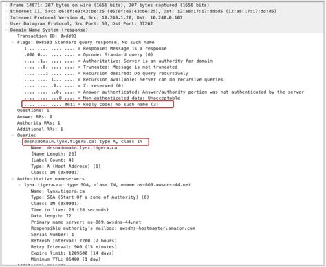 Dns Observability And Troubleshooting For Kubernetes And Containers With Calico