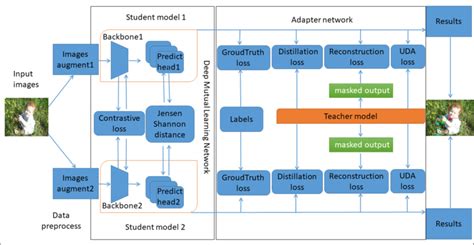 Adapt Net Architecture Download Scientific Diagram