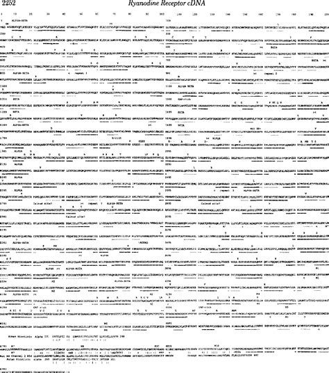 Figure 3 From Molecular Cloning Of Cdna Encoding Human And Rabbit Forms Of The Ca2 Release