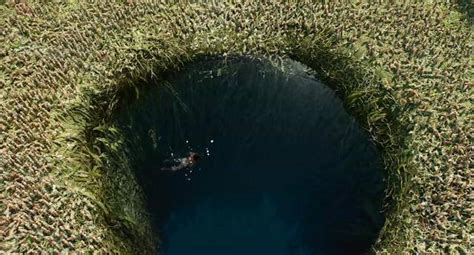 《少年派的奇幻漂流》：人为什么要活着？ 搜狐大视野 搜狐新闻