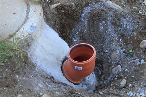 Overflow Garden Pond Forums