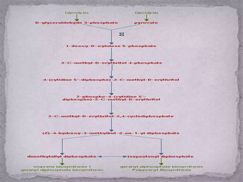 Biosynthesis Of Terpenes Pptx