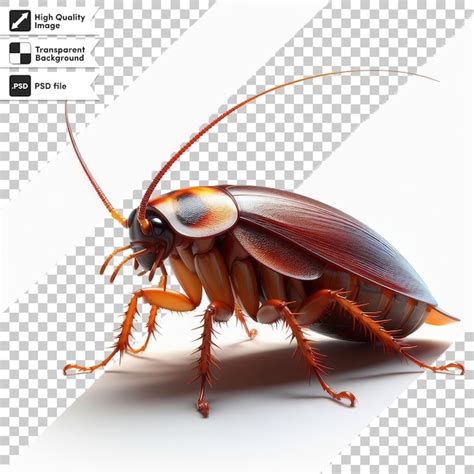 A Cockroach With A Picture Of A Bug On It Premium Ai Generated Psd