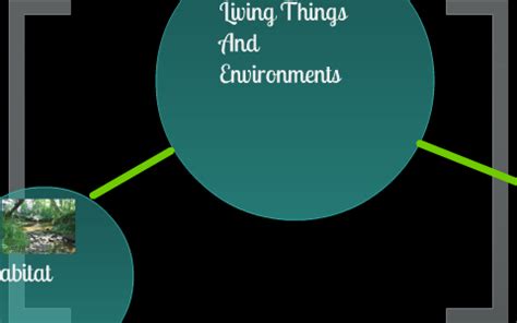 Science Ecosystem Bubble Chart By J J Hyman On Prezi