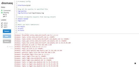 Docker DNS DHCP Server For Your Local Network R Selfhosted