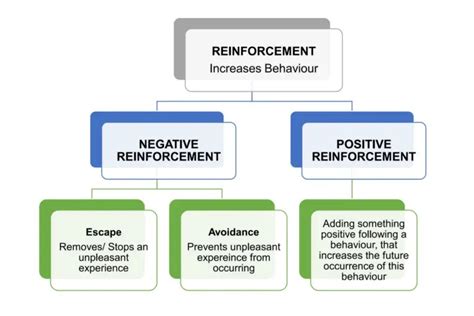 What Is Positive Reinforcement