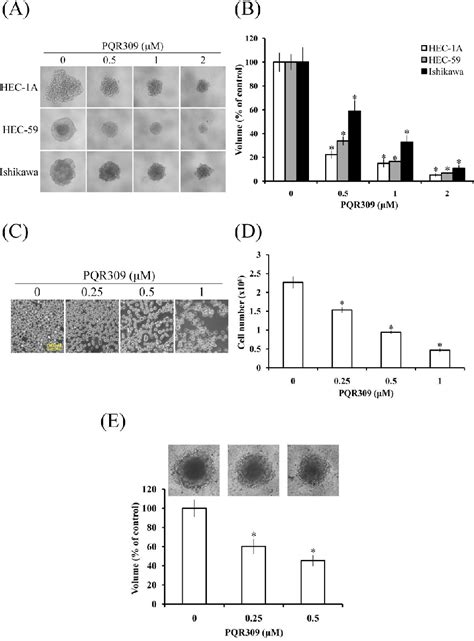 Figure 1 From Suppression Of Pi3k Akt Mtor C Myc Mtp53 Positive