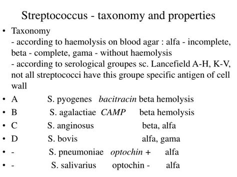 Streptococcus Classification Groups