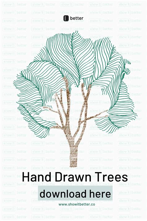 Architectural Trees Tree Illustration Photoshop Brushes Eden Hand Drawn Species How To