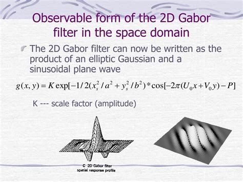 Ppt Gabor Filter A Model Of Visual Processing In Primary Visual Cortex V1 Powerpoint