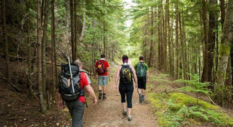 Hiking In Nature Is Cleansing To The Mind Body And Soul — Science Of