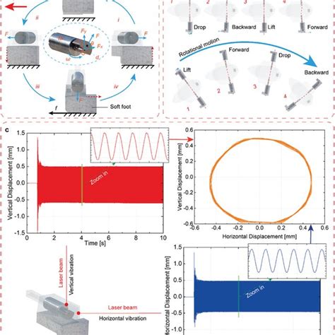 Pdf Miniature Amphibious Robot Actuated By Rigid‐flexible Hybrid Vibration Modules