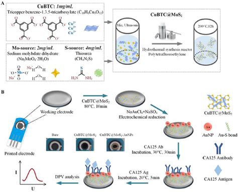 Schematic Representation For The Electrochemical Biosensor A Download Scientific Diagram
