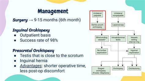 Undescended Testes Hydrocele Testicular Torsion Pdf