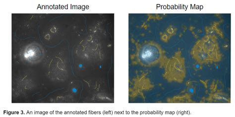 Customizing A Model For Fiber Segmentation Part 2 Creating An Ilastik