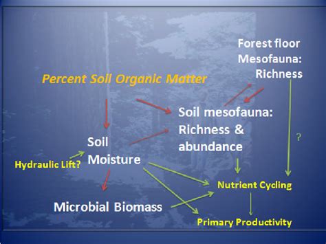Summary Of Multivariate Relationships Variables That Separate Old Download Scientific Diagram