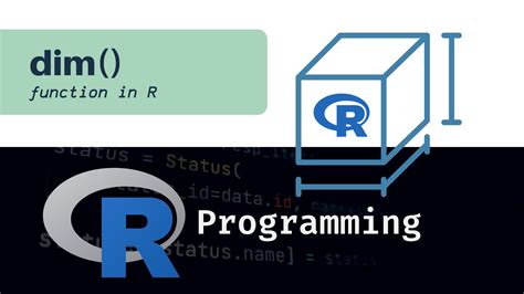 Dim In R Coding Campus