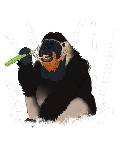 Gigantopithecus By Midiaou On Deviantart Gigantopithecus By Midiaou On Deviantart