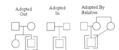 Genetics Pedigree Nomenclature On Sex And Gender Inclusivity Flashcards