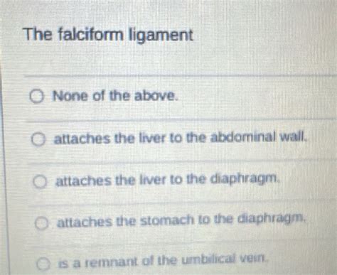 Solved The Falciform Ligament None Of The Above Attaches The Liver To