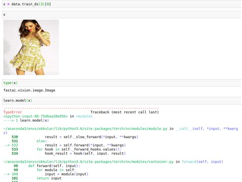 How To Cast Fastai Image To A Pytorch Tensor Utc5 India Fastai Course Forums