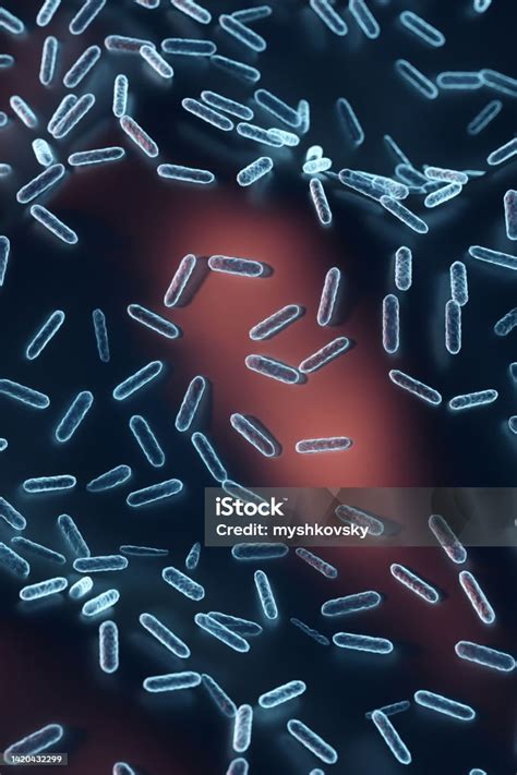 장내 세균 그람 음성 막대 모양의 박테리아 장내 미생물의 일부 및 다른 감염의 원인 물질 3d 렌더링 대장균 Klebsiella Enterobacter 및 기타 3차원