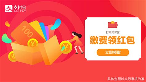 产品：支付宝 红包广告 投放平台头条 信息流
