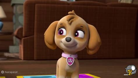 انیمیشن سگ های نگهبان فیلم سگ های نگهبان کارتون سگ های نگهبان سگ های