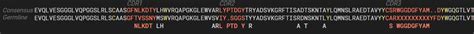 Sequence Annotation Is Broken On Gap In Cdr Issue Snijderlab Stitch GitHub