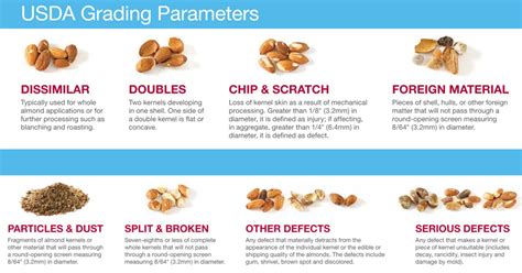 Usda Standard Grades Of Almonds