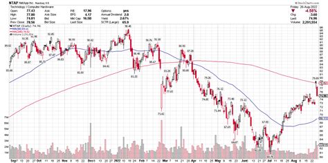 Can Netapp Resume Its Rally After Strong Earnings Guidance Can Netapp Resume Its Rally After Strong Earnings Guidance