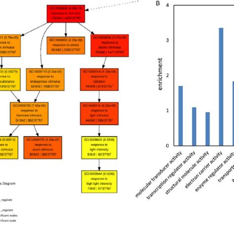 Time Course Of Seed Germination In Different Concentrations Of Nacl Download Scientific
