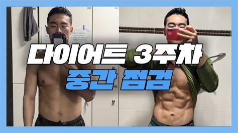 다이어트 3주차 크로스핏 몸변화 Vlog 바디프로필 Ep03 Youtube