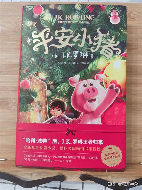《平安小猪》平安夜的奇幻魔法之旅 知乎