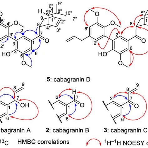 2D NMR Correlations Establishing The Proposed Structures And Relative Download Scientific