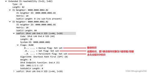 srv6 be 原理介绍 报文解析 配置示例 srv6 be csdn博客