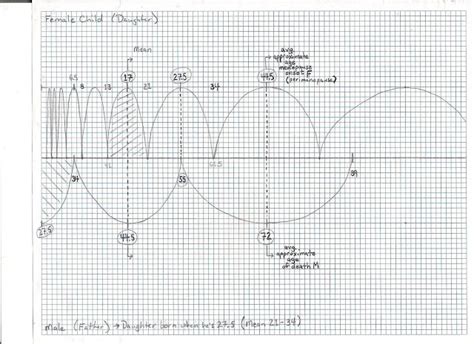 Kultamerica The Phi Ratio And Human Reproduction