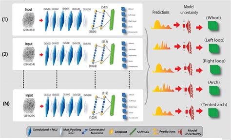 Illustration Of The Proposed Fingerprint Classification Using B‐dcnn Method Download