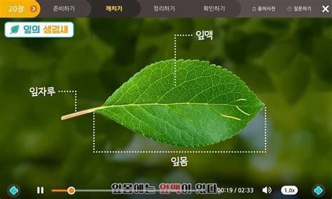 식물의 구조와 기능 6학년 1학기 과학 3단원 아이스크림 홈런