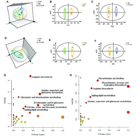 Multivariate Data Analysis And The Metabolic Pathway Analysis Of The