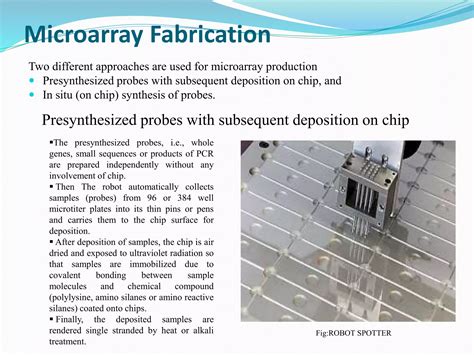 microarray technology biochip dna chip pptx