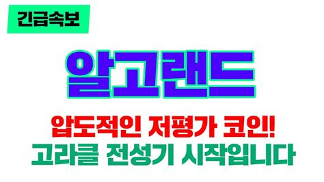 알고랜드 압도적인 저평가 코인 고라클 전성기 시작입니다 알고랜드 알고랜드전망 알고랜드코인 알고랜드코인전망 Youtube