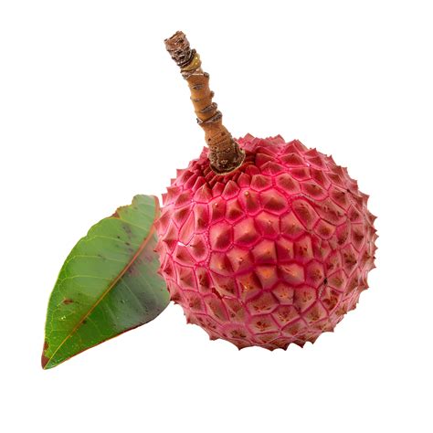 Ai Generated Lychee Fruit Png Lychee Top View Png Lychee Flat Lay Isolated Exotic Fruit