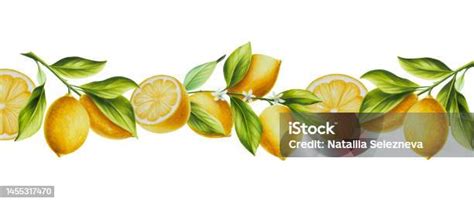 밝은 녹색 잎과 꽃이있는 신선한 익은 레몬과 수채화 테두리 손으로 그린 컷 감귤류 슬라이스는 흰색 배경에 그림을 그립니다 디자이너 엽서 파티 초대장 포장지 표지 포스터 및