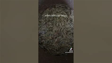 თმის სწრაფი ზრდა როზმარინი Youtube