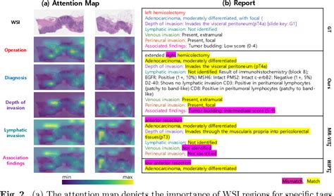 Figure 2 From Clinical Grade Multi Organ Pathology Report Generation For Multi Scale Whole Slide