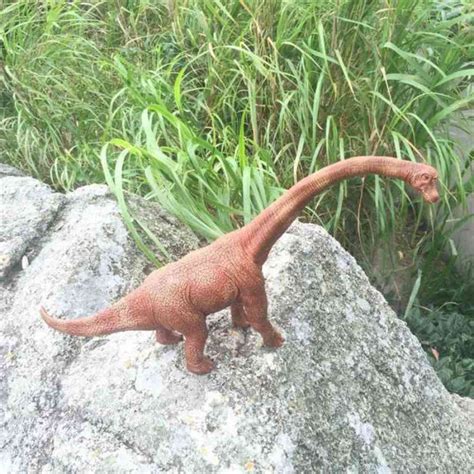 promo brachiosaurus brontosaurus figure dinosaurus model simulasi dino